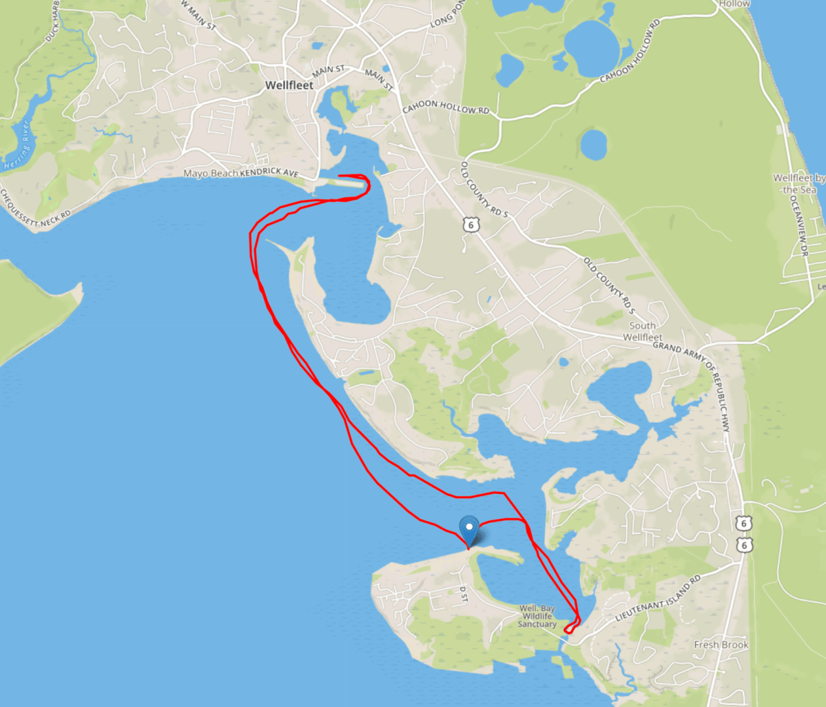 13km Coastal Row – Quantified Rowing