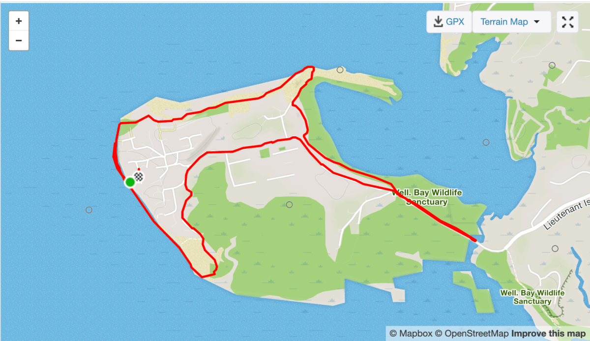 Back to your regular programming – Quantified Rowing